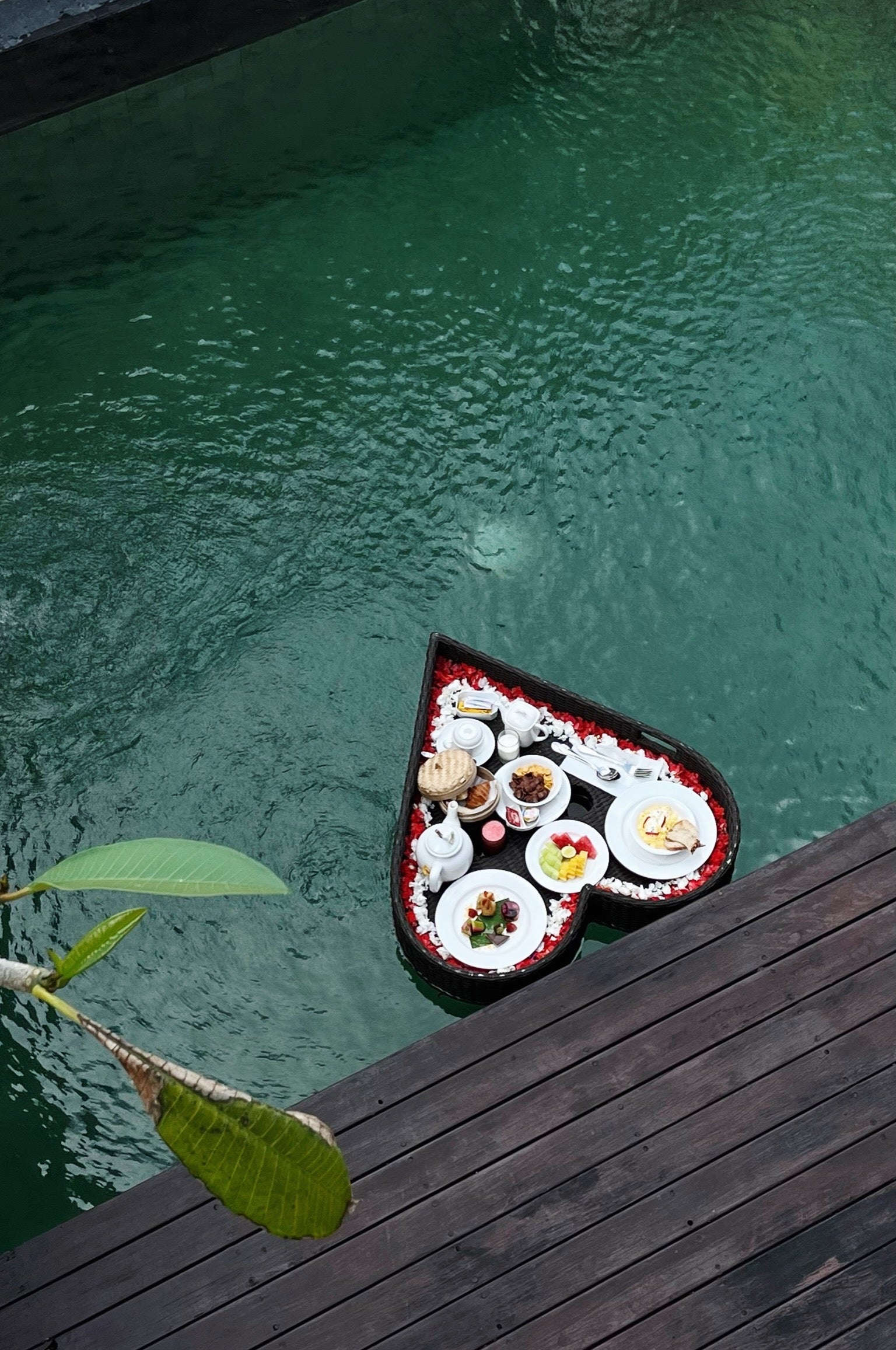 Nyani Sanctuary - Welikebali